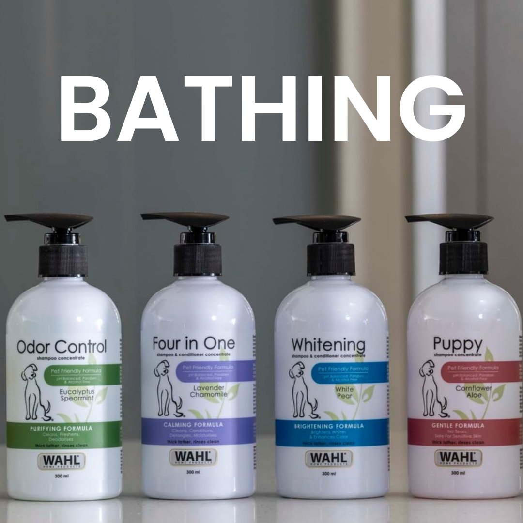 Bathing: Dog shampoo and accessories to clean fluffy friends with ease ...