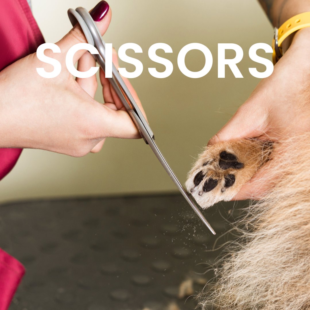 Scissors: Professional dog grooming scissors – The Hounds Coat
